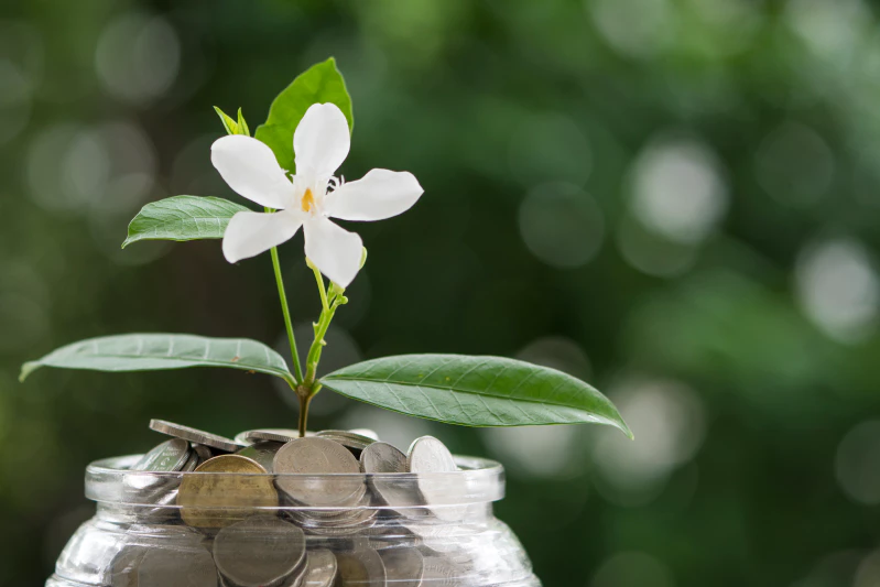 Jenis-Jenis Riba: Pengertian dan Cara Menghindarinya